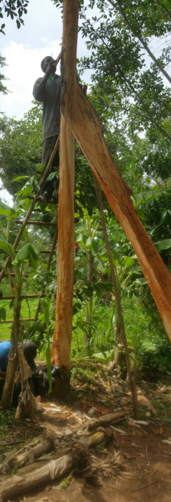 Jose Hendo | The Beauty Of Barkcloth - A Sustainble Fabric For Fashion.